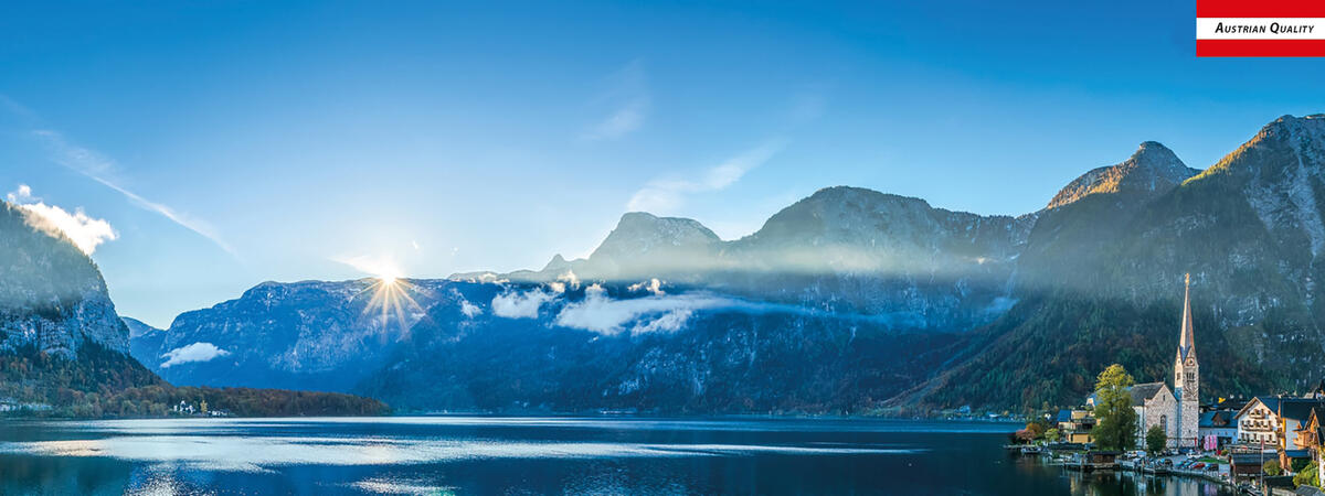 GUSTOSAL Sare pentru saramură cu nitrit cu sare evaporată - Salinen România